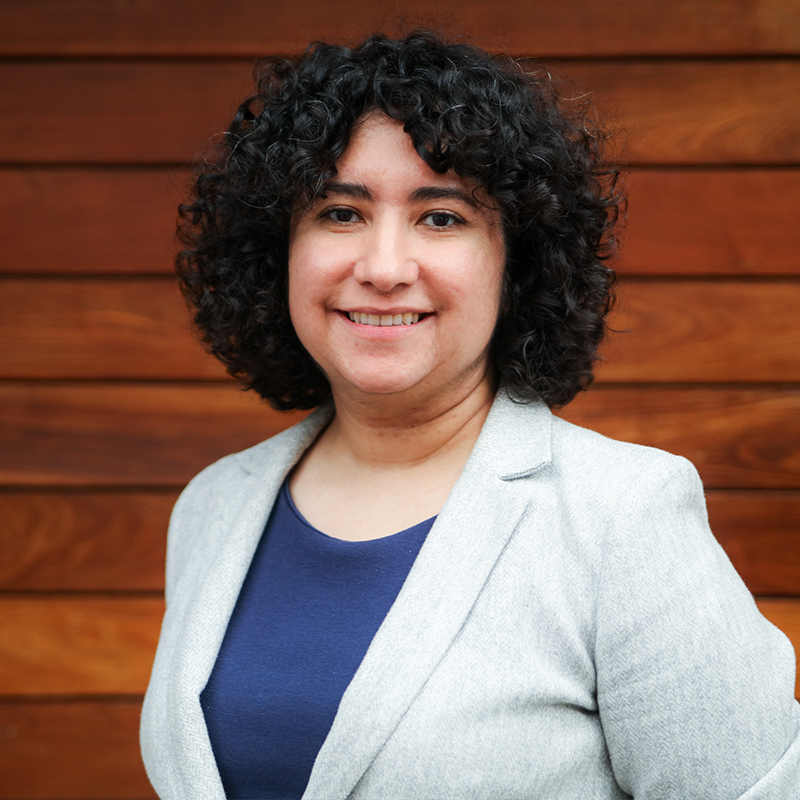 State Manager Program — Blue Leadership Collaborative